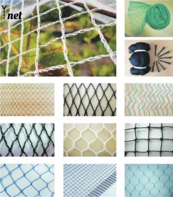 China 7GSM Bird Proof Net Green Bird Proof Netting For Fruit Trees for sale