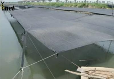 Cina Maglia nera per serre anti-invecchiamento 100GSM in vendita