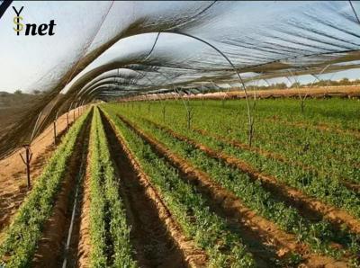 China Anti UV Sun Shade Net Durable Garden Shade Net 50m - 100m Length for sale