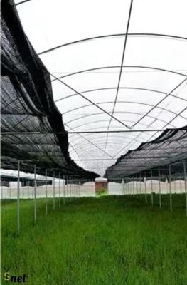 Cina Sombra solare per uso agricolo 1m - 15m Larghezza Sombra in tessuto HDPE in vendita