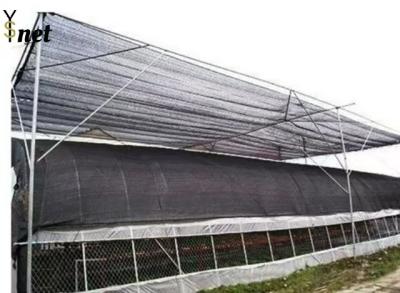 Cina 100% HDPE Agro Shade Net 2*100m Agricoltura Shade Cloth Nero in vendita