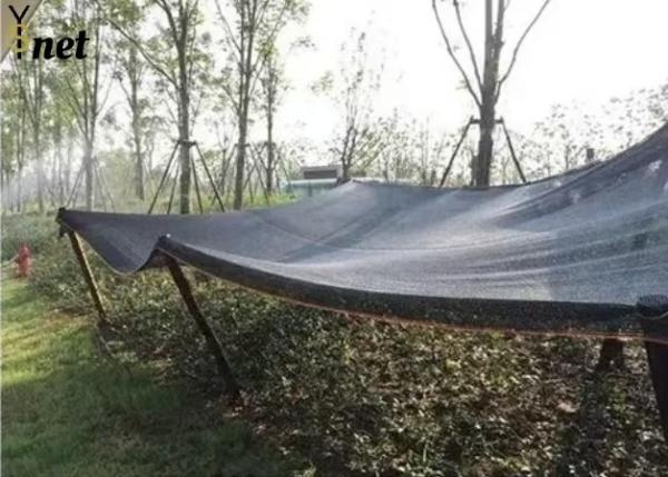 Quality Waterproof Plastic Agro Shade Net Anti Hail Black Shade Cloth For Greenhouse for sale