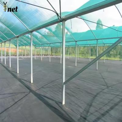 China Green Sun Shade Net HDPE Agribegri Shade Net Durable For Agricultural for sale