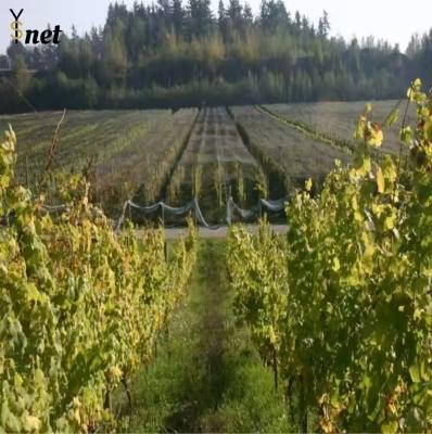 China Green Sun Shade Net HDPE Agribegri Shade Net Durable For Agricultural for sale