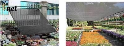 China 5M WATERPROOF SUN SHADE SAIL TRIANGLE Top Sales Heavy Weight Car Parking Shade Sai for Sun Shade for sale