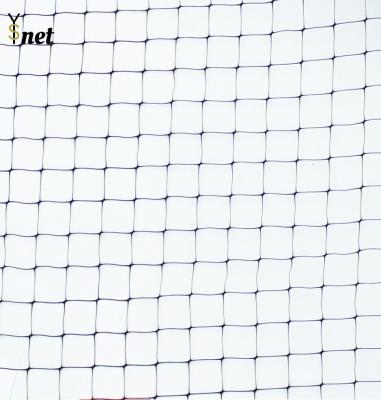 Cina Rete anti uccelli da giardino di plastica 3/4" 1/2" 1/4" Rete anti uccelli UV in vendita