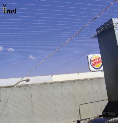 Cina 2 " Rete antiuccello Rete anti-caduta / impermeabile Pigeon Control Anti Bird Net in vendita