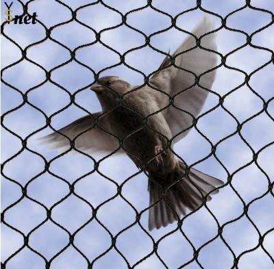 Cina Peso pesante senza nodo Netting uccello resistente alle fiamme Nodo meno Netting nero in vendita