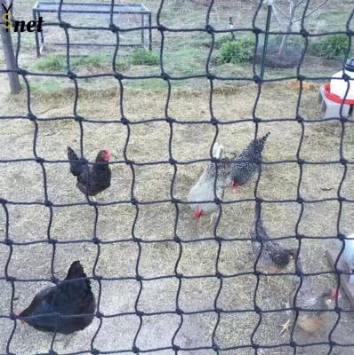 China Black Polyethylene Mesh Netting Customized Bird Net For Vegetable Garden for sale