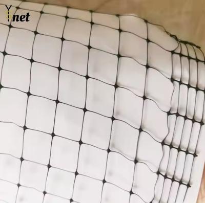 Cina Griglia antiuccello nera 100m 200m 300m 500m Griglia antiuccello per giardino in vendita