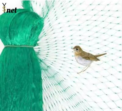 Cina Griglia antiuccello nera 100m 200m 300m 500m Griglia antiuccello per giardino in vendita