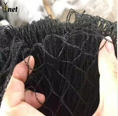 Cina Rete anti-corrosione nera anti-uccelli 1m - 200m Rete anti-uccelli a maglia di plastica in vendita
