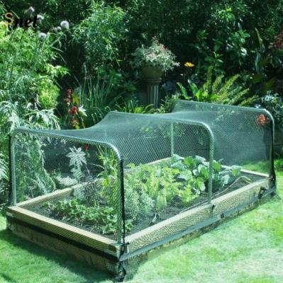 Cina Rete per uccelli resistente agli UV 40M Rete per uccelli per alberi di frutta personalizzata in vendita