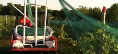 Cina Rete per uccelli resistente agli UV 40M Rete per uccelli per alberi di frutta personalizzata in vendita