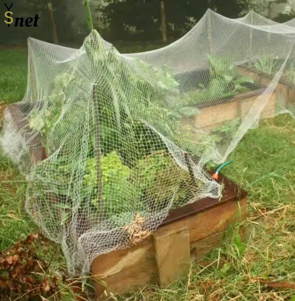 Quality White Bird Proof Net 5gsm 7gsm 8gsm Apple Orchard Netting for sale