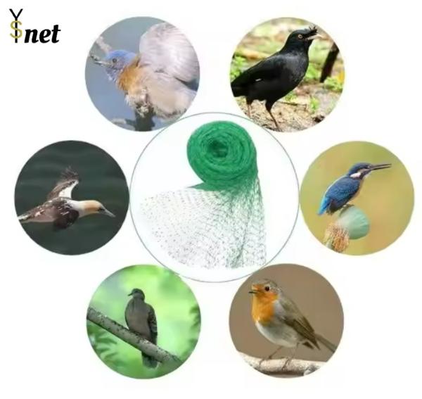 Quality White Bird Proof Net 5gsm 7gsm 8gsm Apple Orchard Netting for sale