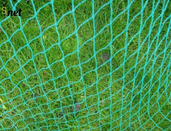 Quality UV Stabilized Agricultural Bird Netting Customized Bird Control Netting White for sale