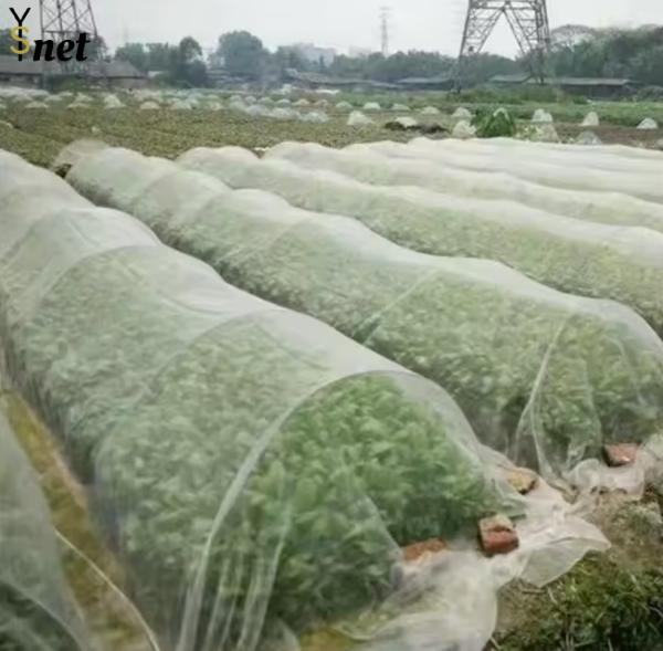 Quality HDPE Greenhouse Bird Netting 20gsm - 30gsm Insect Netting For Garden for sale