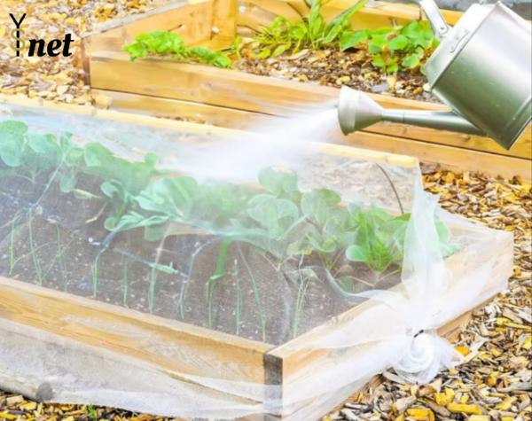 Quality HDPE Greenhouse Bird Netting 20gsm - 30gsm Insect Netting For Garden for sale