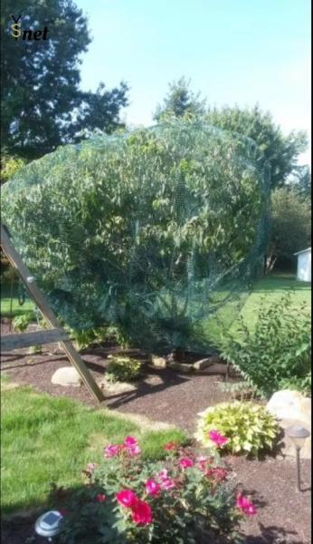 Quality Customized Bird Proof Net Green Reusable Bird Netting Anti UV For Garden Protection for sale