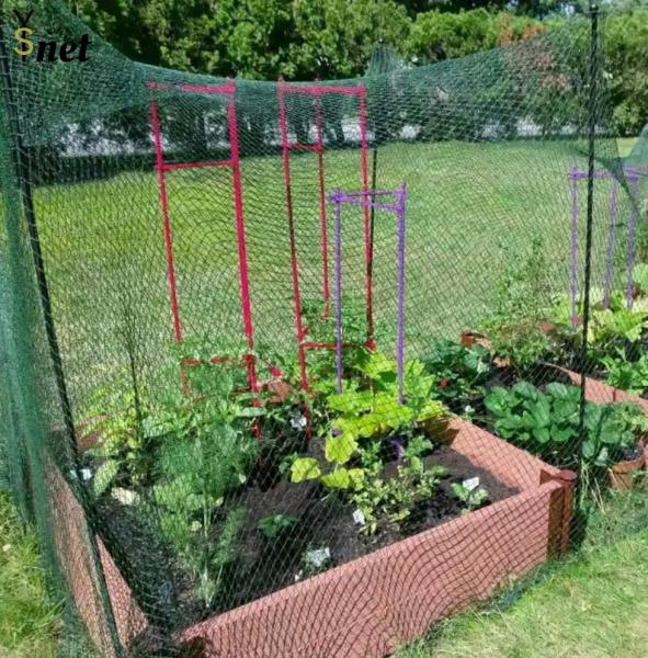 Quality Customized Bird Proof Net Green Reusable Bird Netting Anti UV For Garden for sale