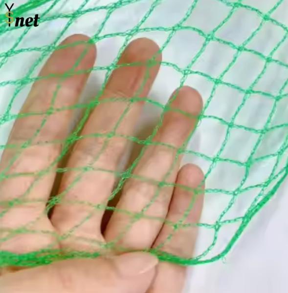 Quality Customized Plant Protection Netting Green Crop Protection Netting Agricultural for sale