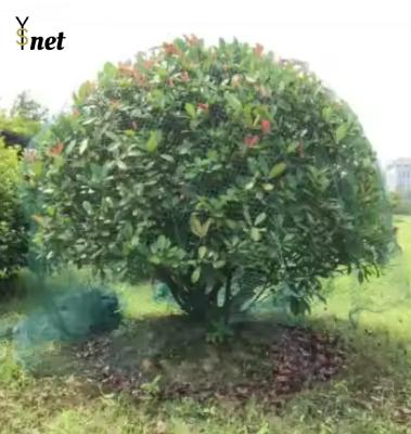 Cina Rete di protezione delle piante personalizzate Rete di protezione delle colture verdi Rete di protezione delle colture agricole in vendita