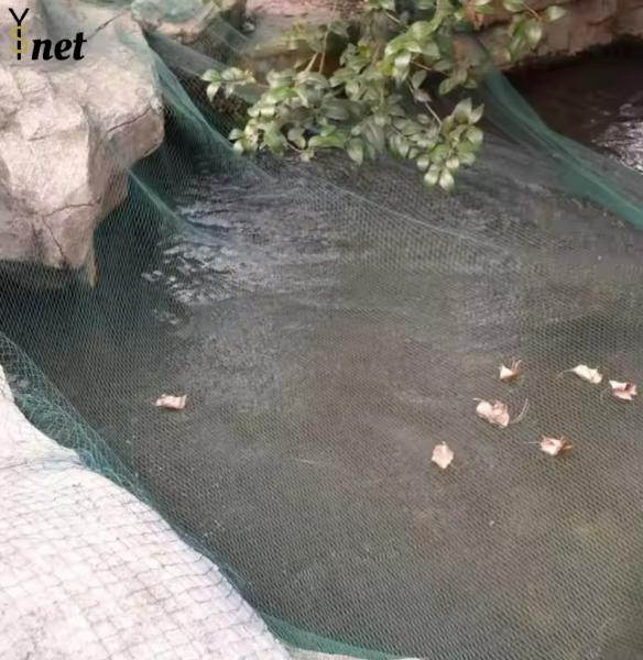 Quality Corrosion Resistant HDPE Bird Netting Transparent Agricultural Mesh Netting 10m for sale