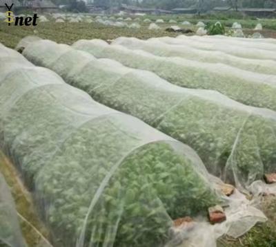 Cina Reti da giardino in nylon a prova di insetti Reti per uccelli personalizzate per orti vegetali in vendita
