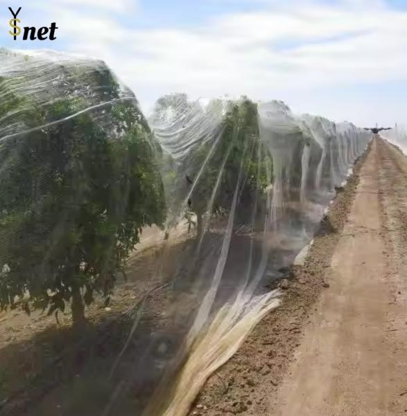 Quality White Fruit Orchard Netting 10gsm - 60gsm Orchard Bird Netting for sale