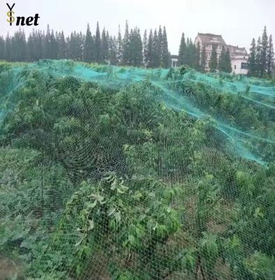 中国 白い果樹園網 10gm - 60gm 果樹園鳥網 販売のため