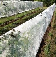 Quality White Fruit Orchard Netting 10gsm - 60gsm Orchard Bird Netting for sale