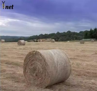 중국 맞춤형 HDPE 랩 자외선 저항성 플라스틱 네트워크 랩 생분해성 판매용