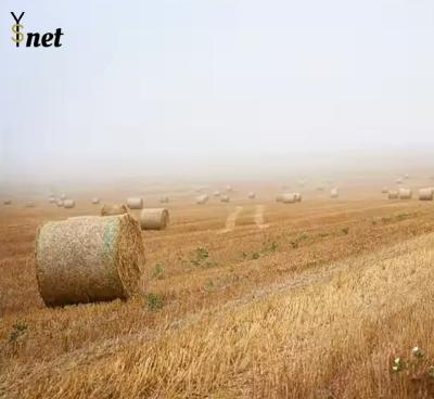 Cina Stabilità UV Ronda Baler Net Wrap Anti Aging Hay Bale Net 1.25X2000m in vendita