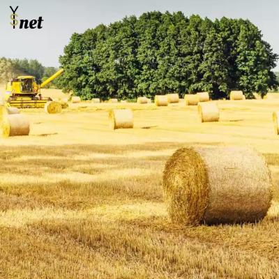 Cina HDPE Biodegradable Hay Bale 2000m 3000m 3400m Wrap Silage Net Wrap in vendita