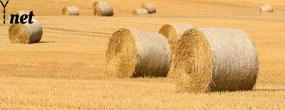 China Customized Round Bale Net Wrap 1.25X2000m Bale Wrap Net 8gsm - 10gsm for sale