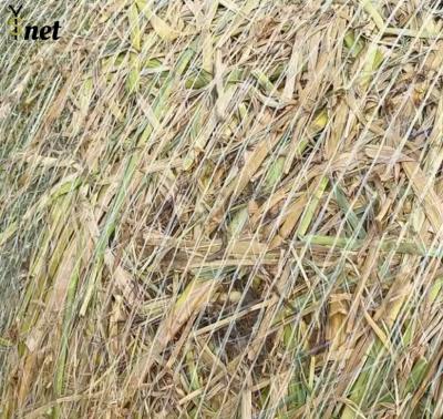 Cina 1.23x3000m Pacco di rete per pacchi di fieno in vendita