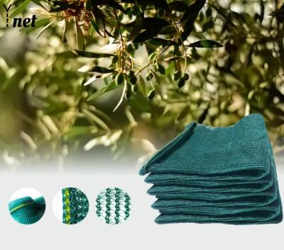 China Hot Selling Olive Net Greek Markets Triangular Mesh Surface Plastic Net Green HDPE Orchard Olive Harvest Net for sale