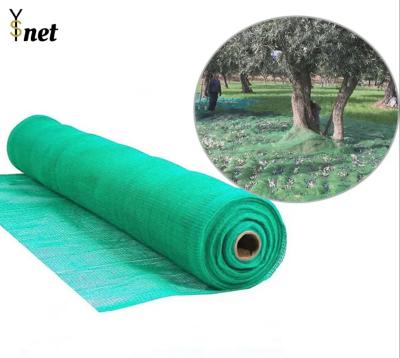 China Agricultural  Olive Harvest Net 3x6m 4x8m Apple Harvesting Net Durable for sale