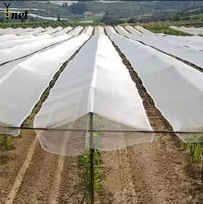 China Anti Hail Nets for Apple Tree Agriculture Anti Hail Net Anti-hail Net With Pillars for sale