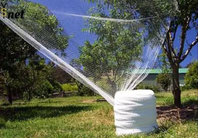 China Durable Anti Hail Net 50m 100m Bird Netting For Grape Vines And Apple Tree for sale