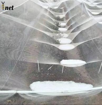 China Durable Anti Hail Net 50m 100m Bird Netting For Grape Vines And Apple Tree for sale