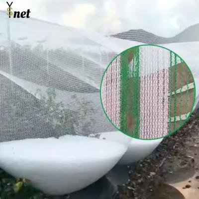 Cina Antiaging Commercial Orchard Netting 40gm 50gm Netting per piante da giardino in vendita