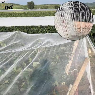 中国 ポリエチレンのリンゴの木網カバー 60m 70m 80mリンゴの木網 販売のため