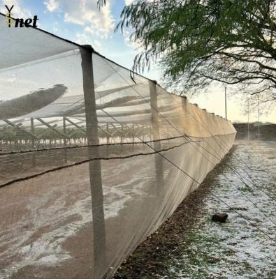 China White Anti Hail Net Customized Garden Windbreak Netting 30gsm - 90gsm for sale