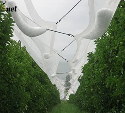 China Customized Orchard Hail Netting 40m 60m 70m 80m Hail Netting For Gardens for sale