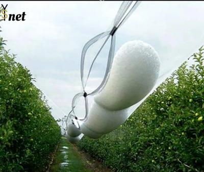 China Customized Orchard Hail Netting 40m 60m 70m 80m Hail Netting For Gardens for sale