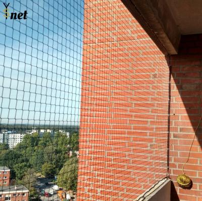 China China Supplier Netting X 50' Anti-bird Net for Bird Poultry Aviary. Bird protection netting or pigeon nets simply reverse the function of aviary nets. for sale