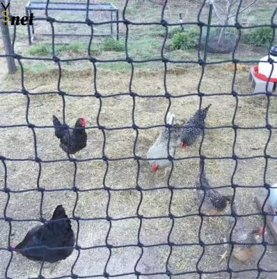 China China Supplier Netting X 50' Anti-bird Net for Bird Poultry Aviary. Bird protection netting or pigeon nets simply reverse the function of aviary nets. for sale