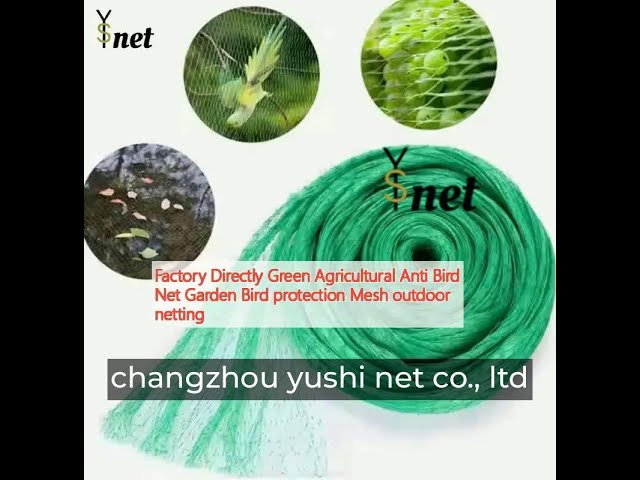 agricultural bird protection mesh corrosion resistant outdoor bird netting green